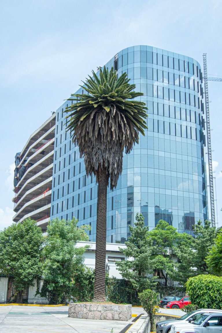 Distrito Polanco – El Cerramiento
